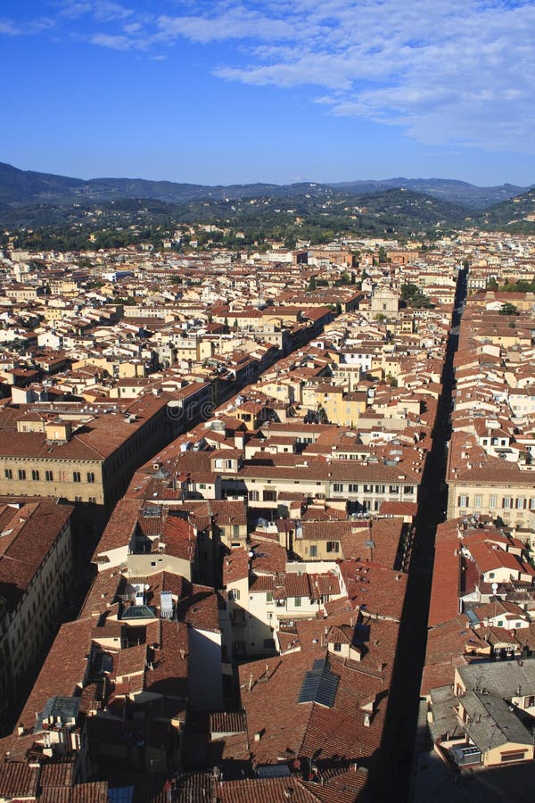 City overview stock image. Image of birds, blue, detail - 11774481