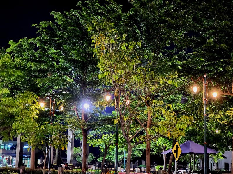 A City Park Area with Shaded Trees and Beautiful Lighting at Night ...