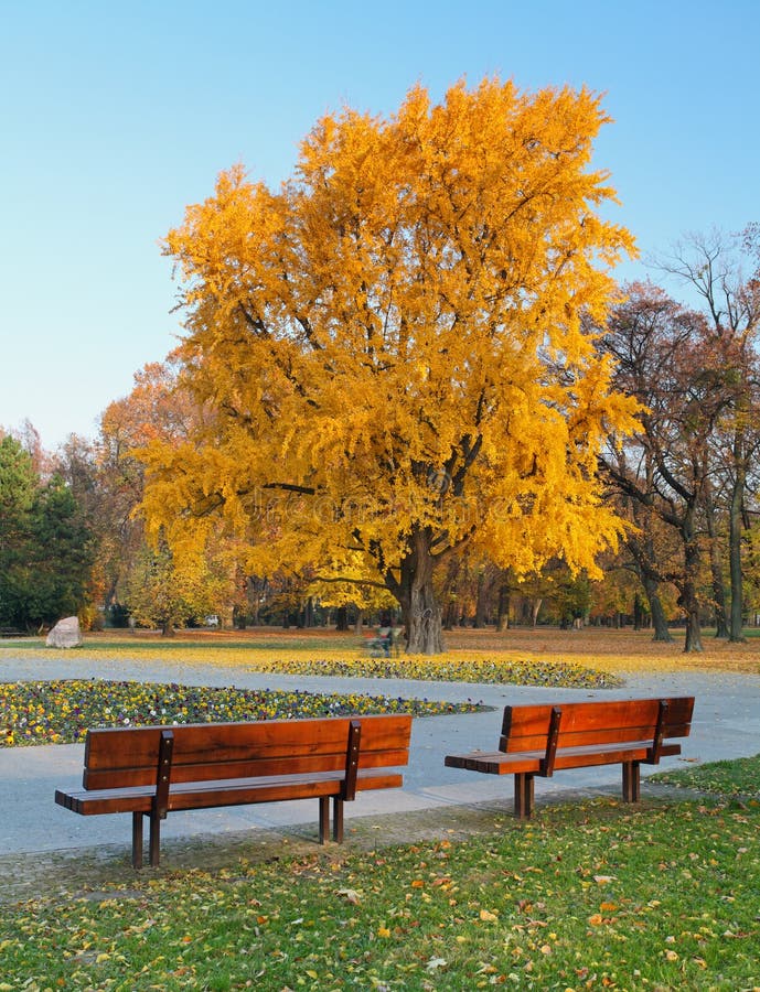 City Park in Autumn - Bratislava Stock Photo - Image of autumn, grass ...