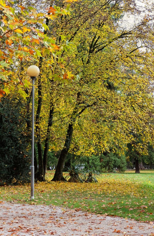City Park in Autumn stock photo. Image of fall, foliage - 125099070