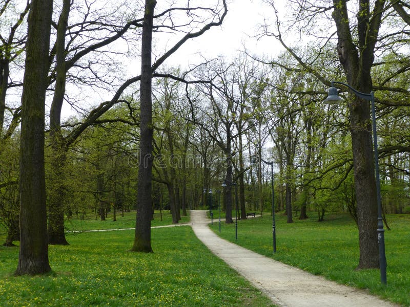 City Park Awaiting Spring stock image. Image of trees - 130528329