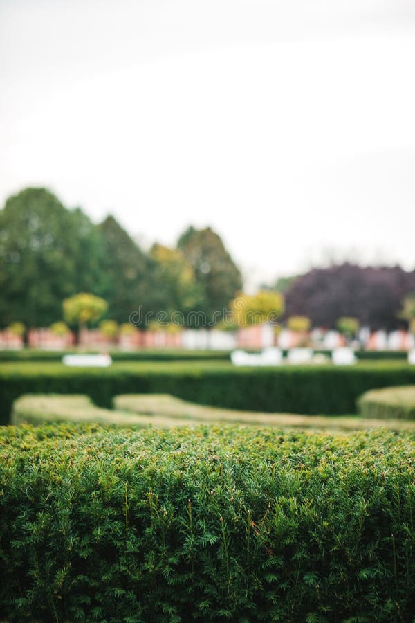 City Park with Bushes and Trees. Stock Photo - Image of environment ...