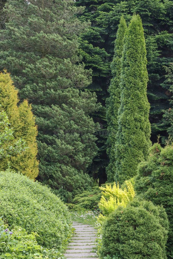 City Park, Path between Trees Stock Image - Image of nature, plants ...