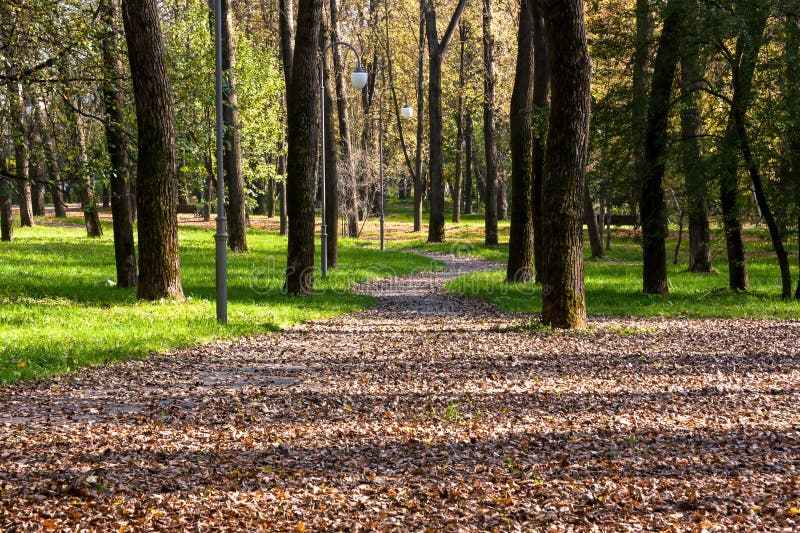A City Park in Early Autumn. a Path Covered with Leaves Stock Photo ...
