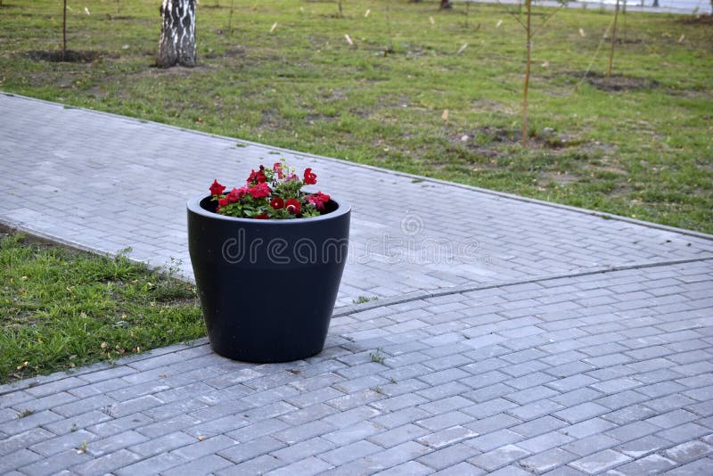 Garbage Cans in the Urban Area and a Landfill. Plastic Garbage ...