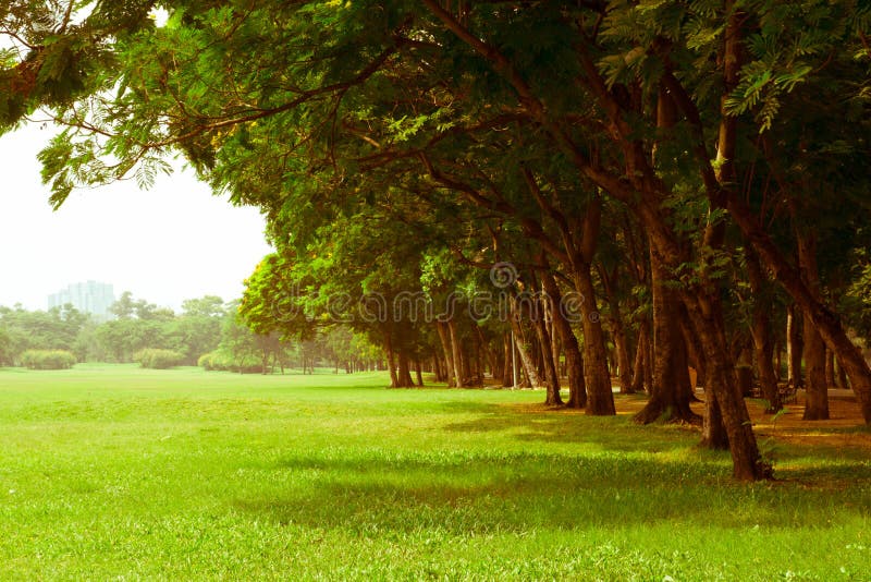 City park stock photo. Image of city, path, park, grass - 55126854