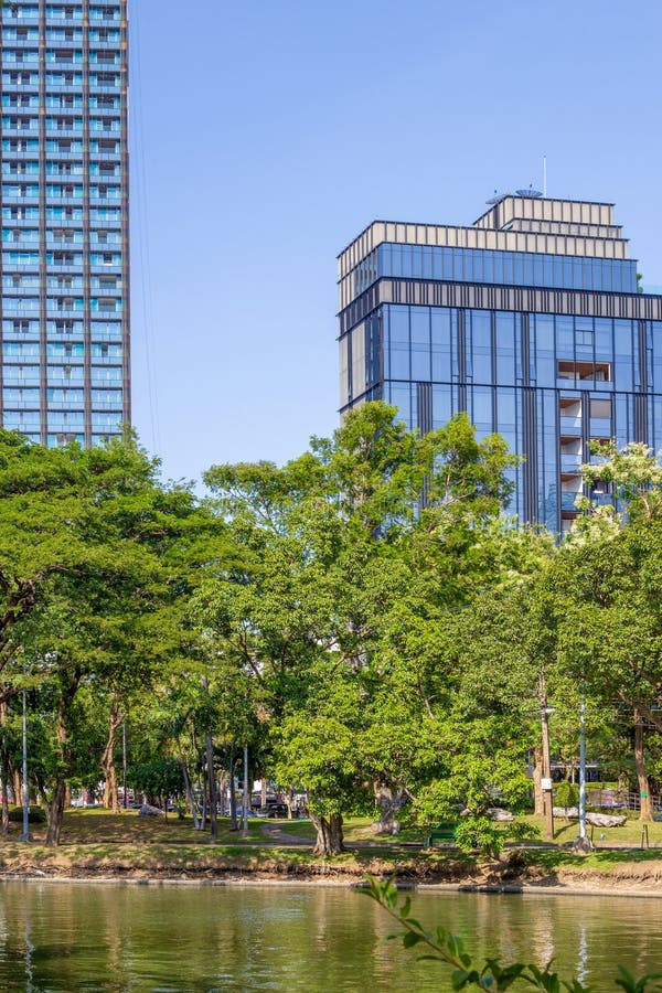 City Park with a Lake and Tropical Trees in a Metropolis. an Oasis in ...