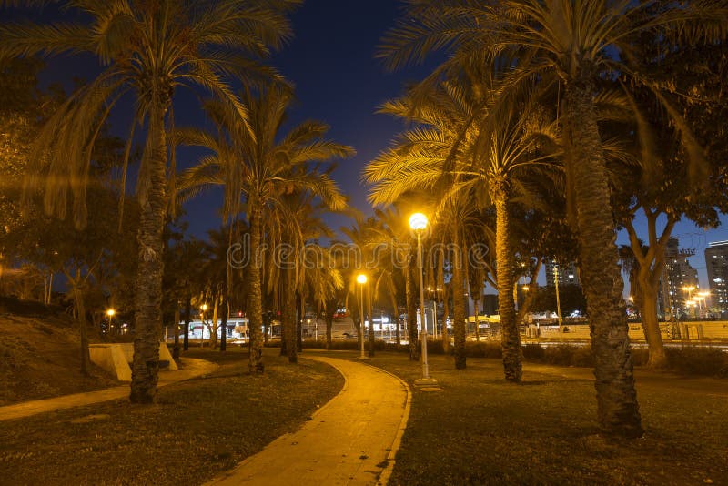 City Park at Night in Ashdod Editorial Photo - Image of city, ashdod ...