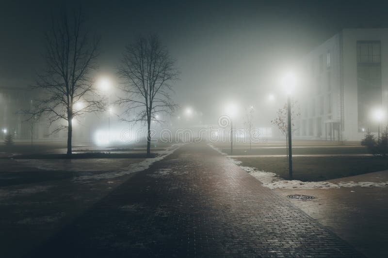 City park at night in fog stock image. Image of autumn - 357788647