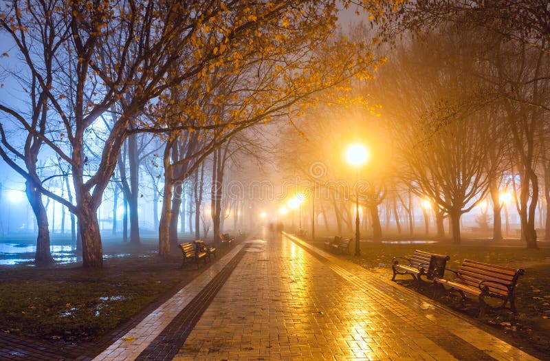 Walk in park at night stock photo. Image of darkness, evening - 3441894