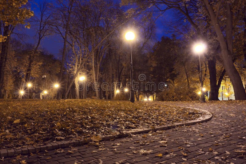 City Park in the Night with Lamps Stock Image - Image of column, trees ...