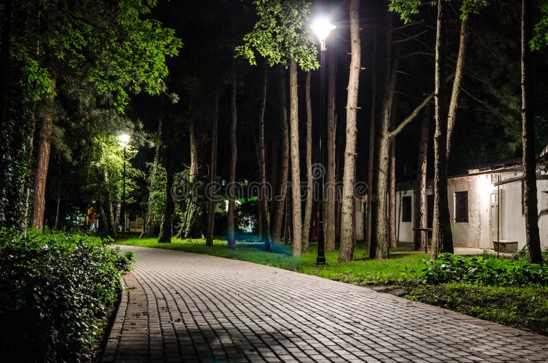 City park at night stock photo. Image of street, amps - 38457300