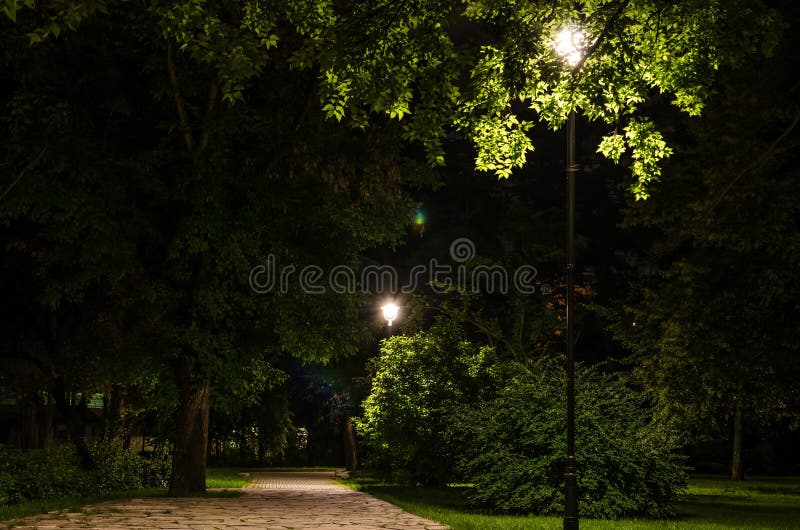 City park at night stock photo. Image of street, streetlights - 38457302