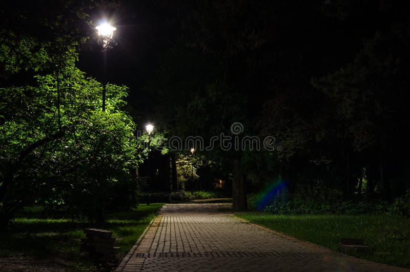 City park at night stock image. Image of park, trees - 38457375