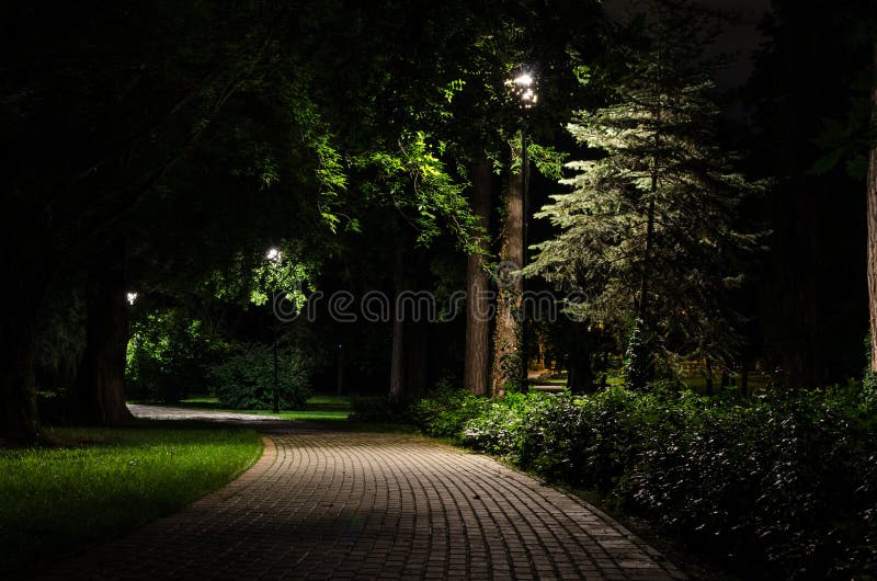 City park at night stock photo. Image of urban, green - 38457388