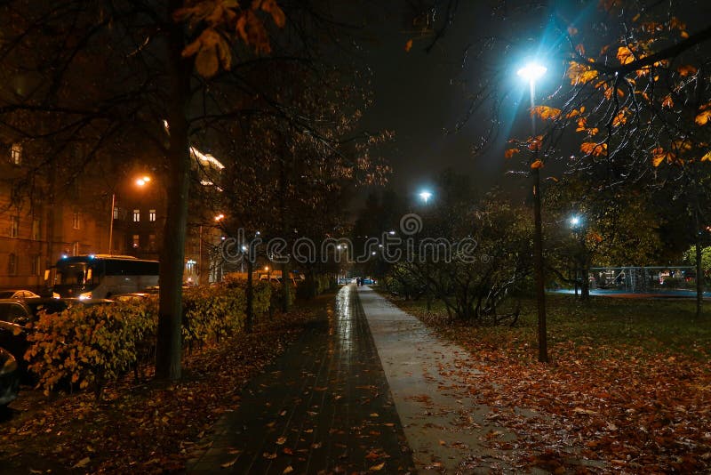 City Park after Rain at Night Editorial Photo - Image of city, sunlight ...