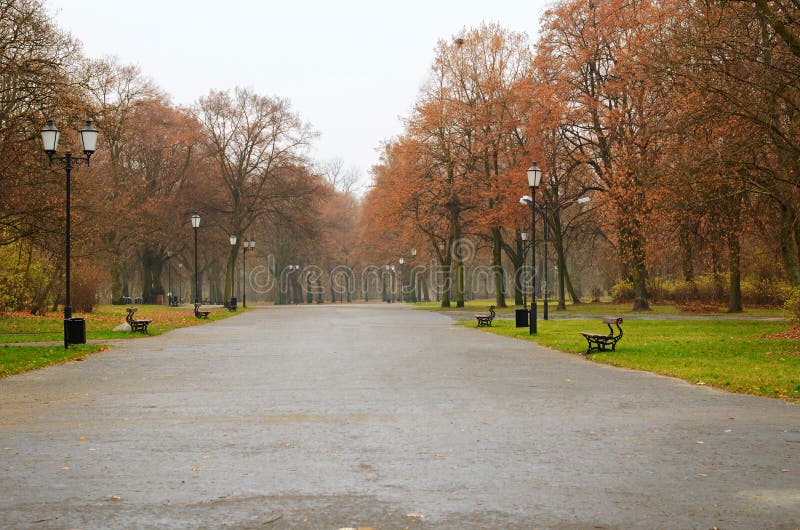 City park in a raining day stock image. Image of background - 35792397