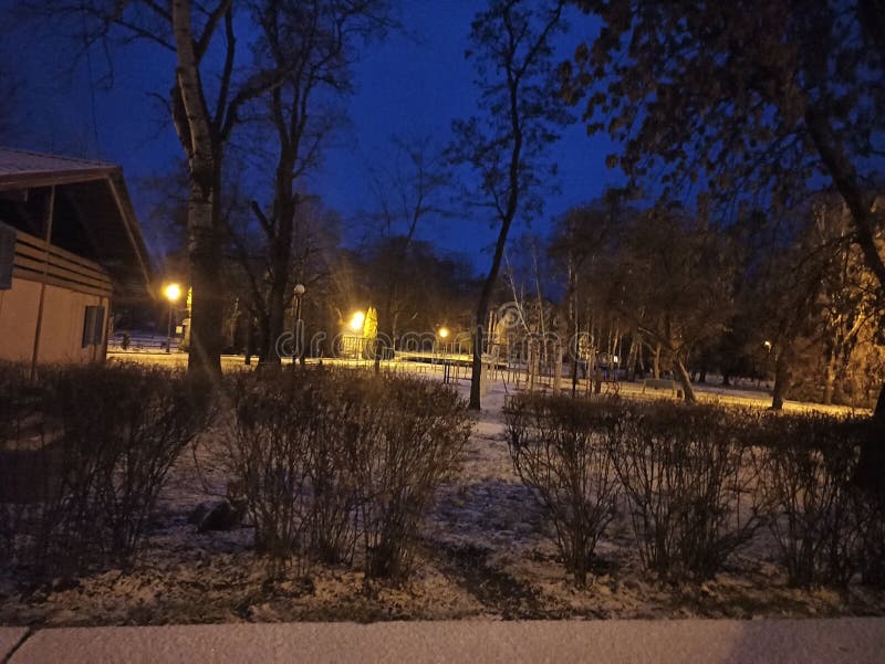 City Park Shot at Night - Close-up Stock Image - Image of city, famous ...