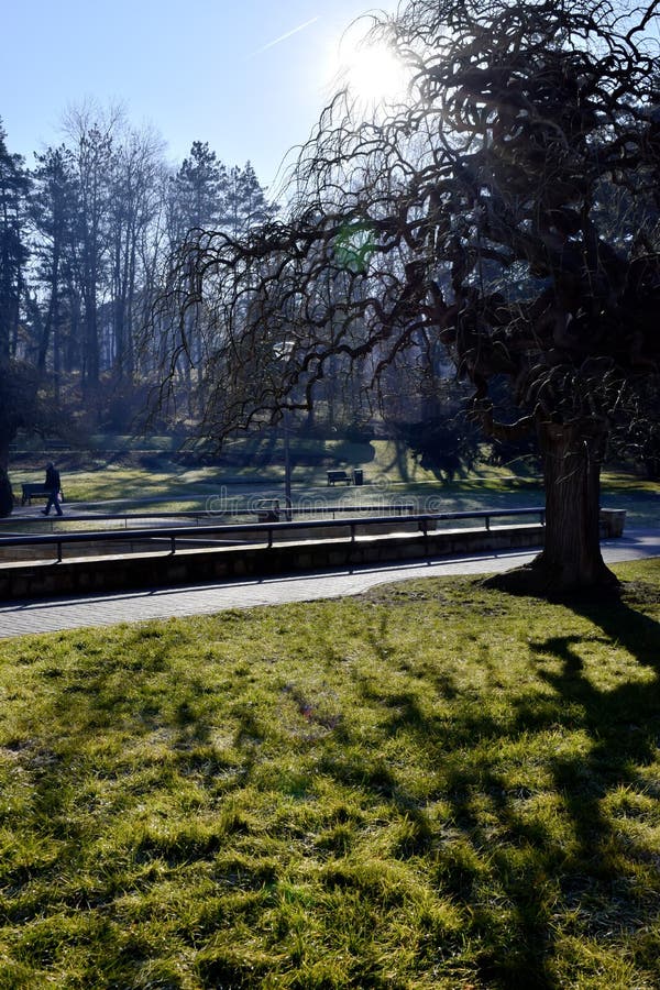 City Park in Sunny Day with Shadows of Trees and Pathway Stock Image ...