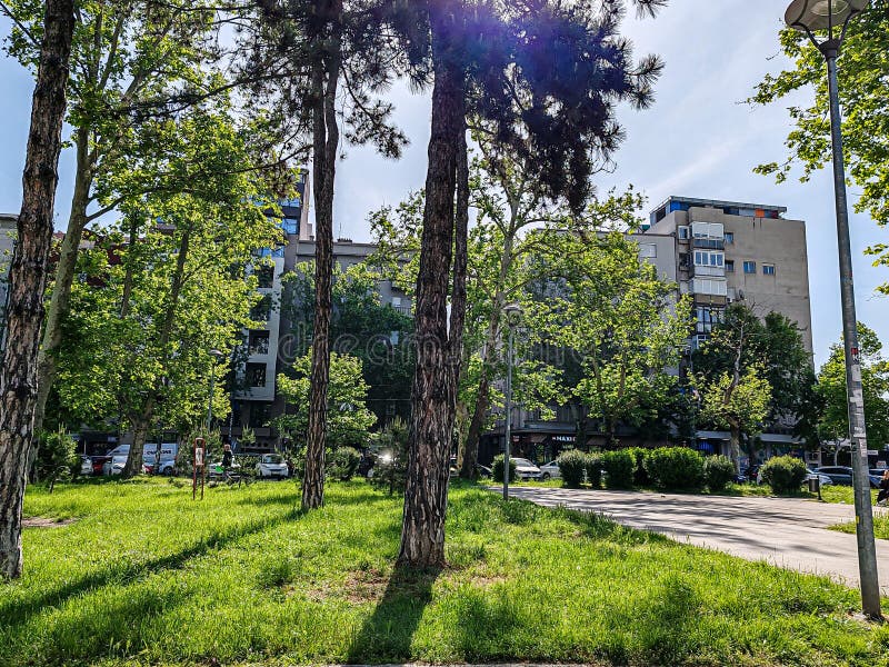 City Park, Vracar, Belgrade, May 2025 Stock Photo - Image of nature ...