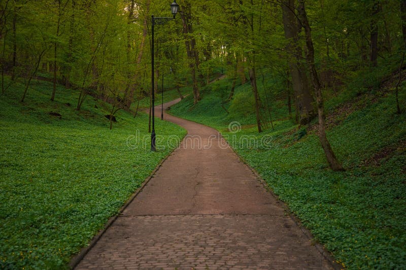 City Park Walking Area with Old Road Foot Path Way Under Trees Shadow ...