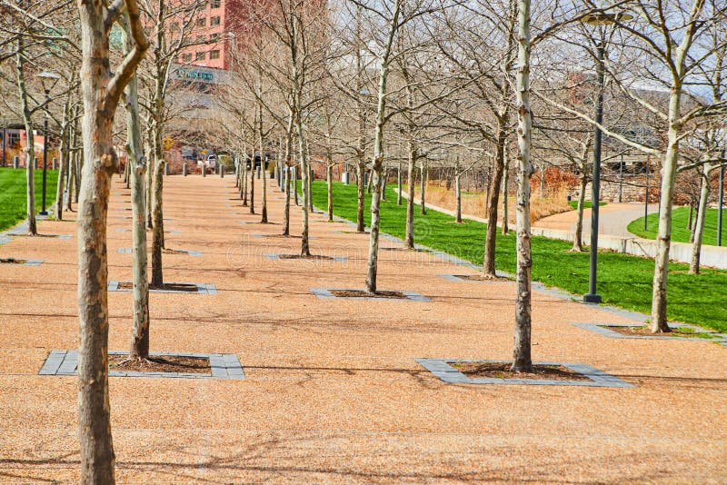 City Park Walking Path Filled with Spring Trees Stock Image - Image of ...