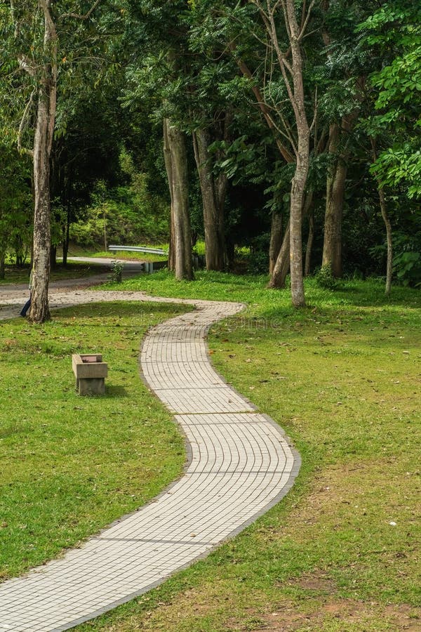 A City Park with Walking Path and Green Zone Trees on a Sunny Day Stock ...
