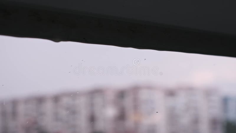 City Rain - Slow Motion Drops from Window Stock Video - Video of nature ...
