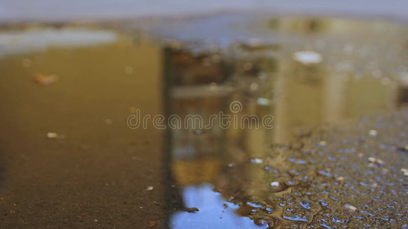 The City is Reflected in the Puddle Stock Video - Video of sidewalk ...