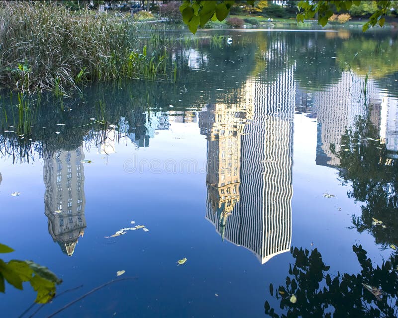 City in reflection. stock photo. Image of green, skyline - 10658082