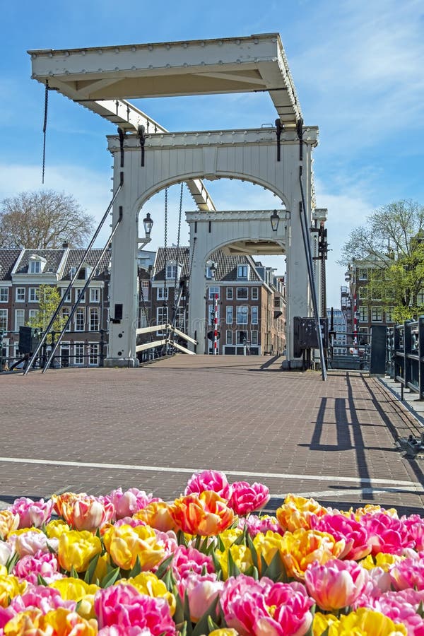 City Scenic from Amsterdam in Spring at the Tiny Bridge in the ...