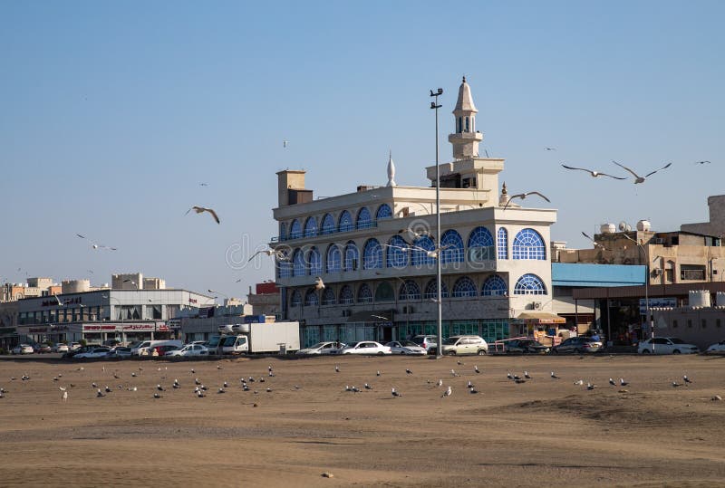 397 Seeb Stock Photos - Free & Royalty-Free Stock Photos from Dreamstime