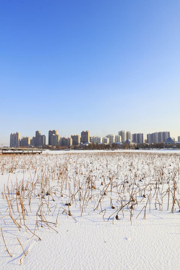 City Snow Scenery in Northern China Stock Photo - Image of park ...