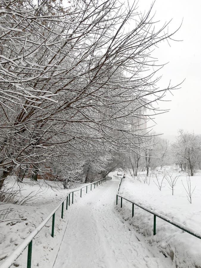 City Street Covered in Deep Snow on a Winter Day Stock Photo - Image of ...