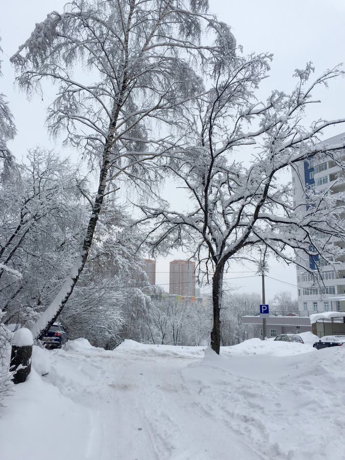 City Street Covered in Deep Snow on a Winter Day Stock Image - Image of ...
