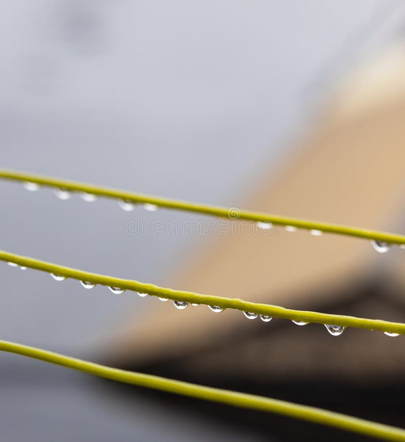 City Under Rain with Yellow Threads for Drying Clothes and Drop of ...