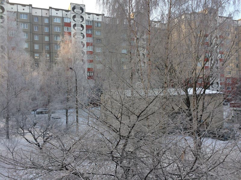 City yard view in winter stock image. Image of house - 81998611