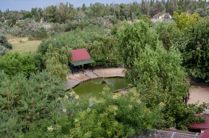 City Zoo Top View is a Great Image. Stock Photo - Image of tree, scenic ...