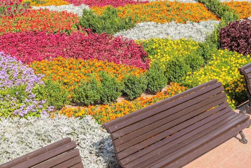 Cityscape with Colorful Flower Bed and with Benches Stock Image - Image ...