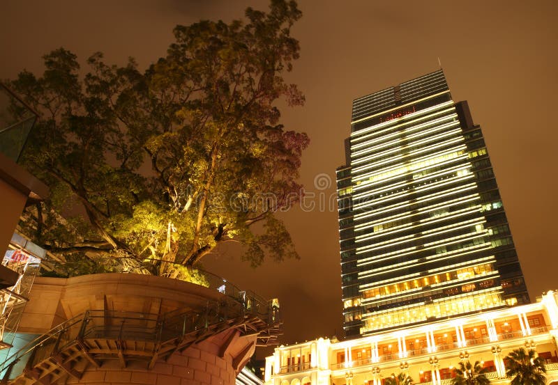 Cityscape at Night. Modern Building and Big Tree Stock Photo - Image of ...