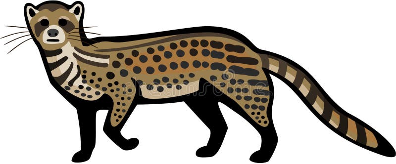 Civet Stock Illustrations – 597 Civet Stock Illustrations, Vectors ...