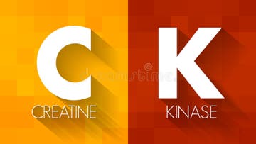 CK Creatine Kinase - Enzyme Expressed by Various Tissues and Cell Types ...