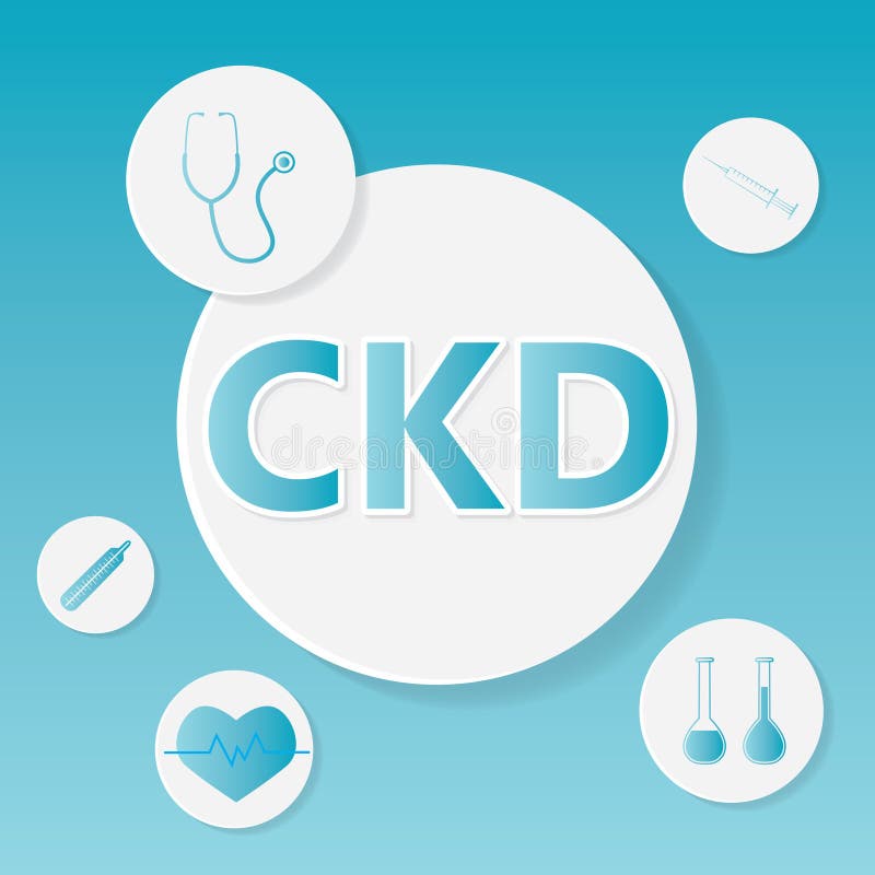 CKD Chronic Kidney Disease Medical Concept Stock Vector - Illustration ...