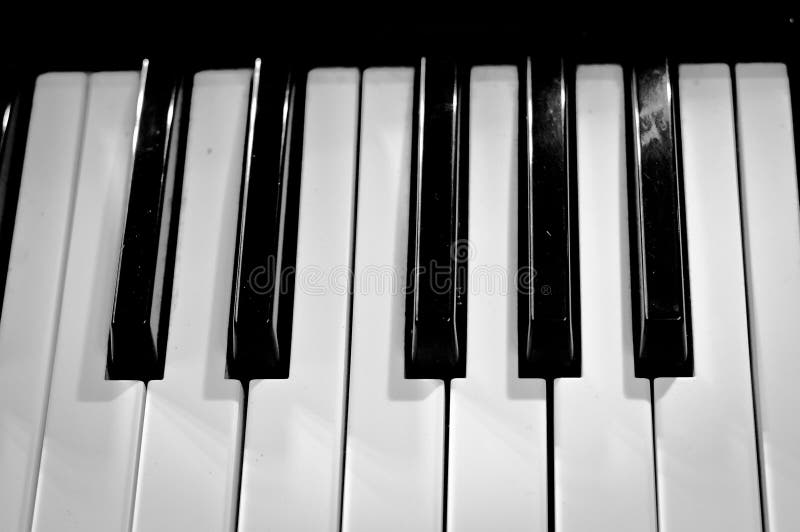 Une Octave Du Clavier De Piano Image stock - Image du composer, musical ...