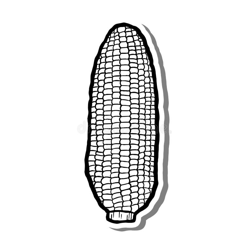 CL1160 Corn stock illustration. Illustration of natural - 376645502