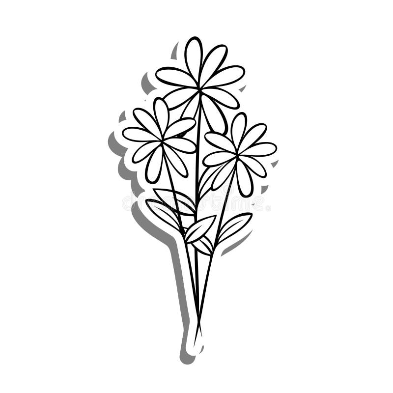 Three Daisy Outline Stock Illustrations – 174 Three Daisy Outline Stock ...