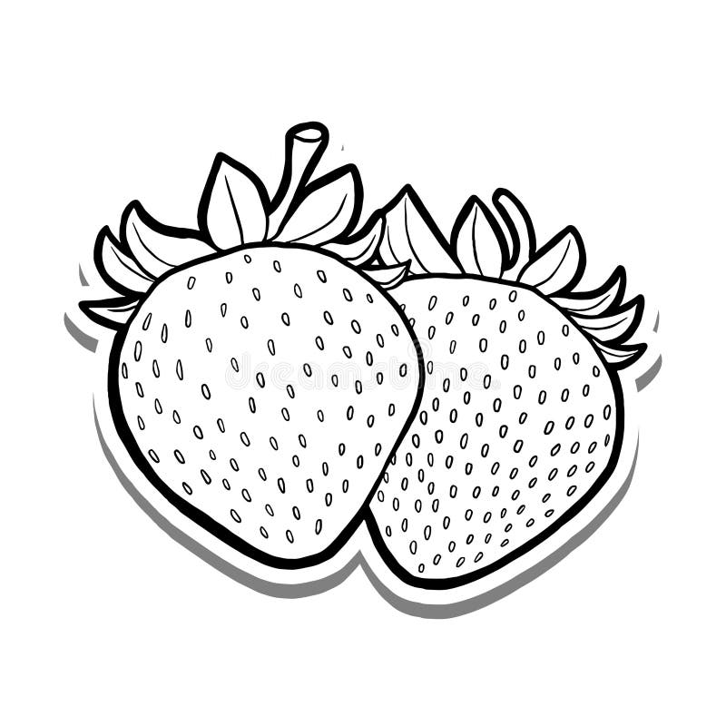 CL1150 Two Strawberries stock vector. Illustration of fresh - 371349974