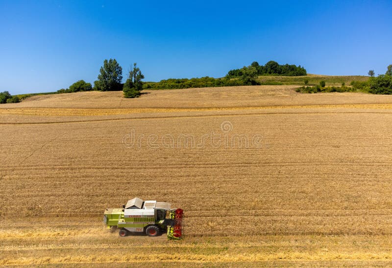 Claas Combine Harvesting Wheat in the Field Editorial Image - Image of ...