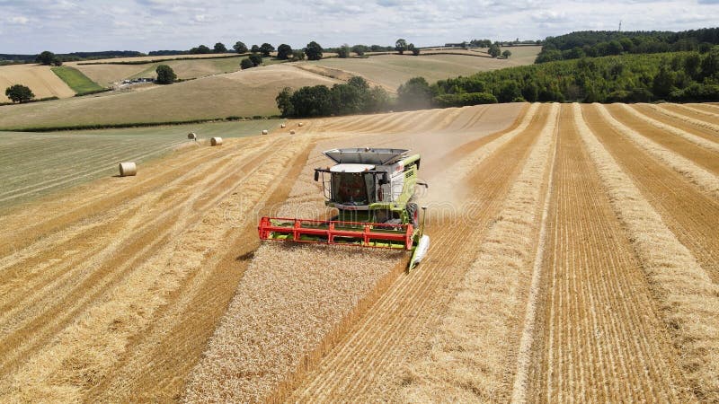 Claas Combine Harvesting in a Wheat Field Editorial Stock Photo - Image ...