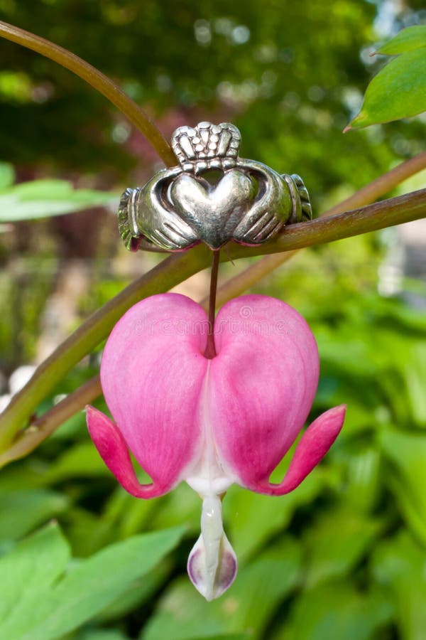 Claddagh Ring stock image. Image of jewlery, holidays - 40787687